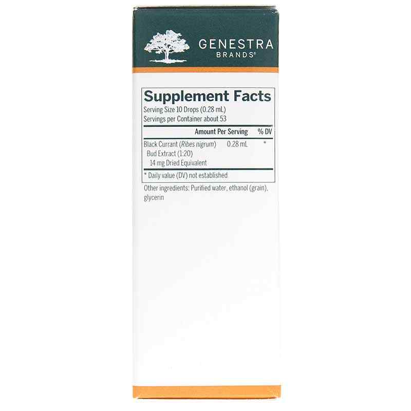 Black Currant Bud, Genestra – Professional Supplement Center