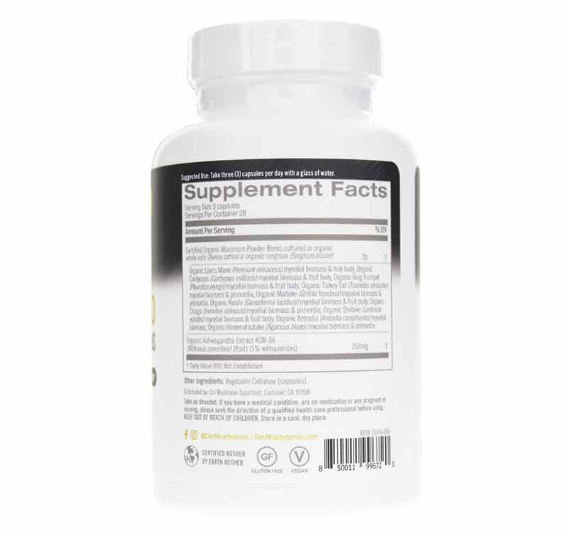Master Blend, Om Mushroom – Professional Supplement Center