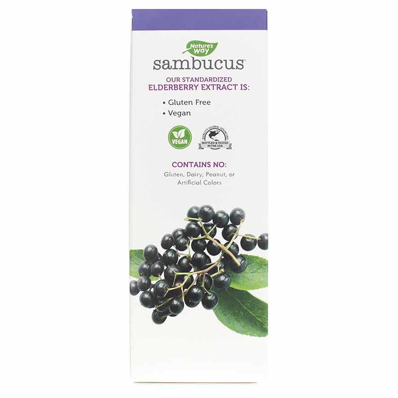 Sambucus Elderberry Original Syrup, Natures Way – Professional ...
