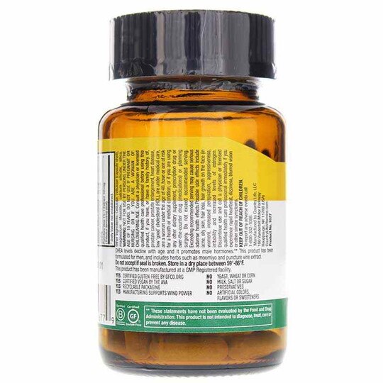 dhea supplement for men gnc