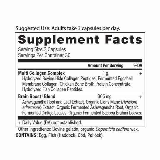 Multi Collagen Brain Boost, Ancient Nutrition