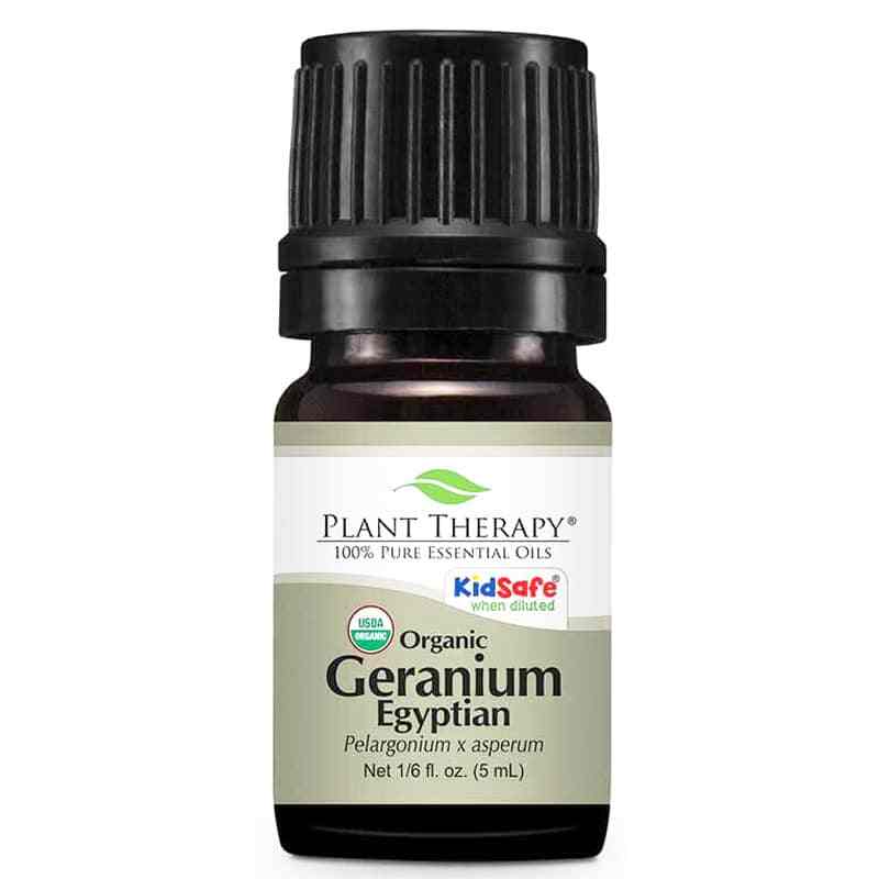 Organic Geranium Egyptian Essential Oil, Plant Therapy